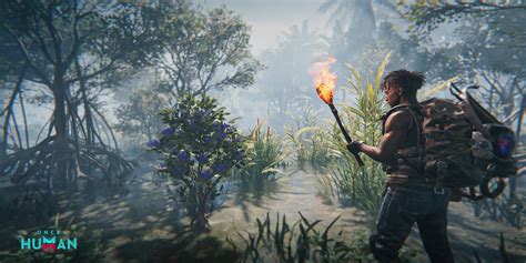 Will Once Human Be Free To Play