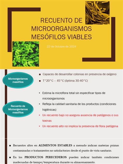 Recuento De Microorganismos Mesófilos Pdf Microorganismo Alimentos