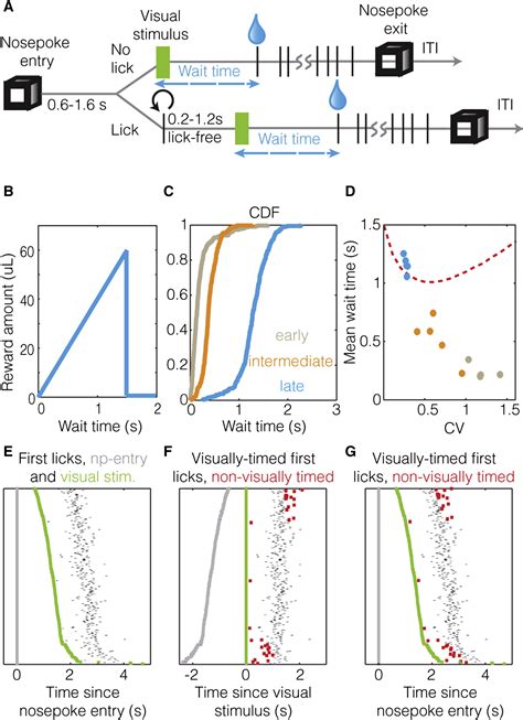Visually Cued Action Timing In The Primary Visual Cortex Neuron