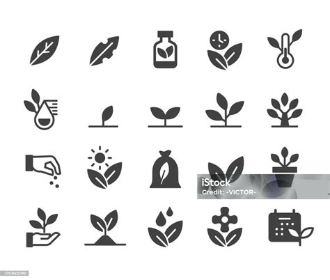 植物圖示 經典系列向量圖形及更多樹圖片 樹 圖示 種子 Istock