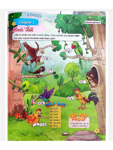 Grade 1 Gk Worksheet Pdf