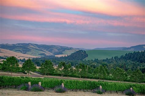 Living In Wine Country Five Regions Beyond Napa Valley And Sonoma County