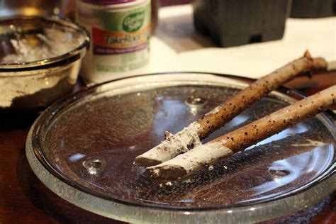 How To Root Elderberry Cuttings