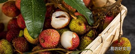 荔枝冷冻了还能吃吗 妃子笑为什么是青的 荔枝易坊