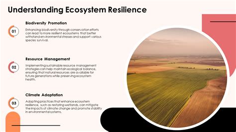 Top 10 Ecosystem Resilience Ppt Templates With Samples And Examples