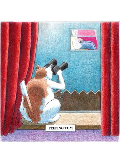 Peeping Tom Humorous Cat Card 13 Stationery Cards Water Street
