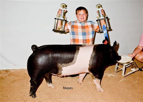 Wendt Livestock Kevin Megan Riley And Ethan Wendt