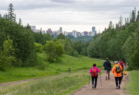 What If Here Is All We Have New Trail