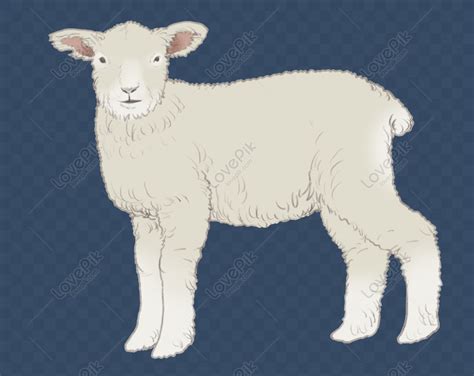양 Png 일러스트 무료 다운로드 Lovepik