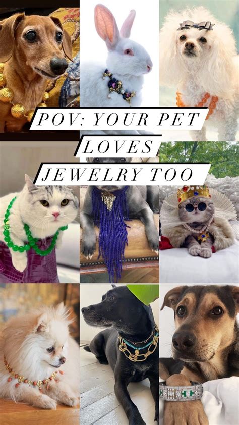 90 Animals Wearing Jewelry Ideas In 2025 Animals Jewelry Jewelry