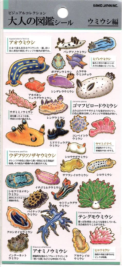 Sea Slug Stickers Paper Stickers Kamio Reference A11248 Etsy Sea Slug Sticker Paper Cute