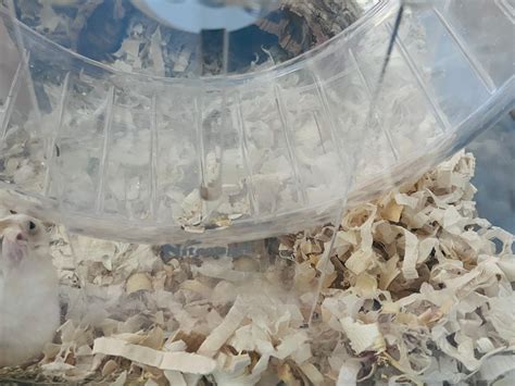 Shredded Unbleached Tissue Bedding Fatpouches