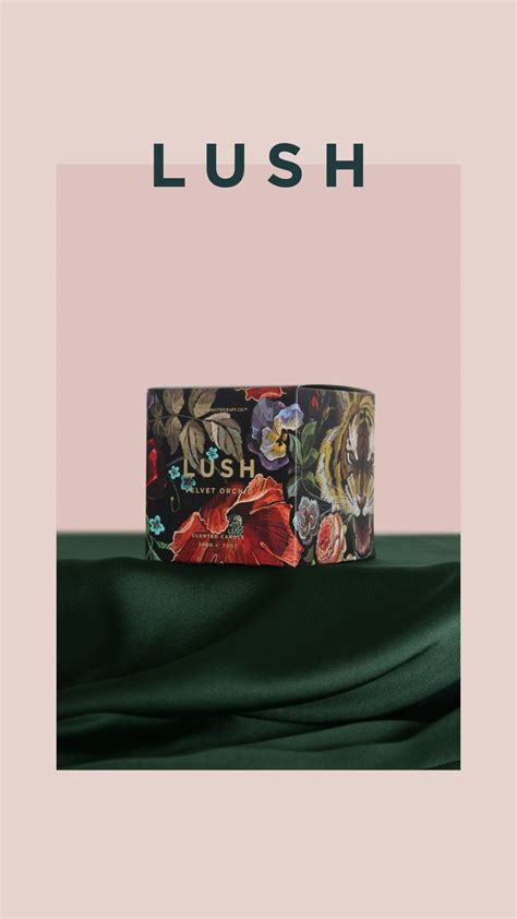 Lush Product Packaging Design Morgan Taitoko Packaging Design