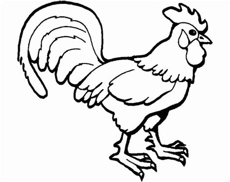 Rooster Drawing Easy Free Download On Clipartmag