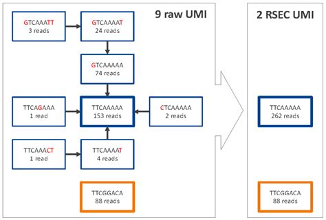 Molecules And Error Correction Bd Rhapsody™ Sequence Analysis Pipeline 30