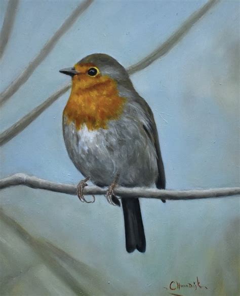 Ch Van Dijk Xx Roodborstje Robin Catawiki