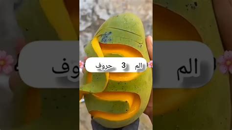 الف لام قران پاک کے تین حروف ان کی فضیلت Quran Islamicshorts Beautifullslamic Foryou Youtube