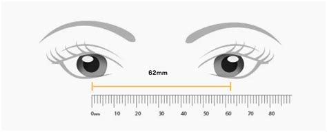 How To Measure Pupillary Distance Pd Eyebuydirect