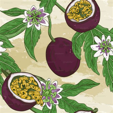 Passion Fruit Wallpapers Wallpaper Cave