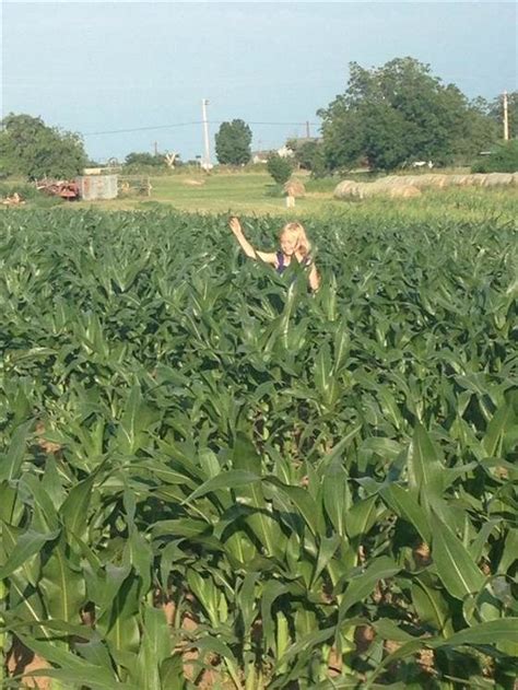 Sunshine Shellys Pumpkin Patch Shawnee Ok