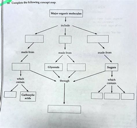 Solved Complete The Following Concept Map Major Organic Molecules
