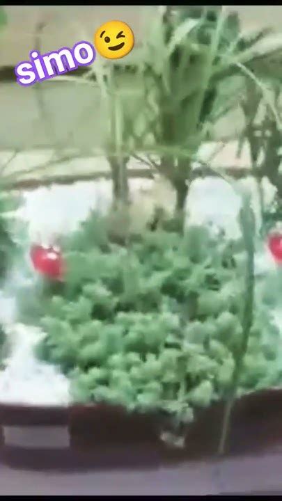 مۡسَـ♥ـاء والســ🦋ــعادة👯‍♀️ Youtube