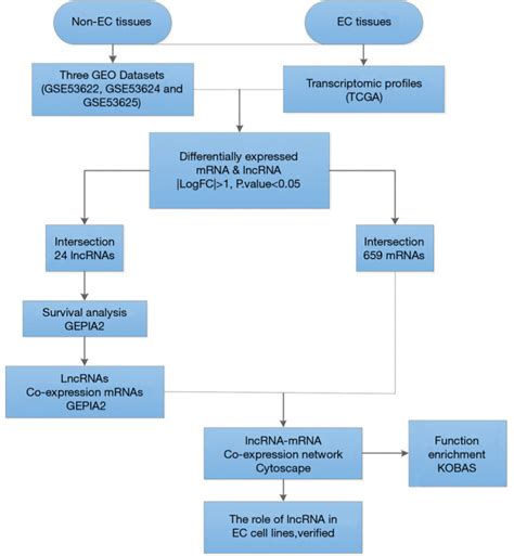 Integrative Bioinformatics Analysis Identifies Linc01614 As A Potential Prognostic Signature In