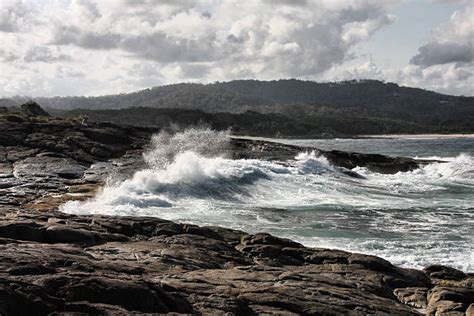 210 Parque Nacional Murramarang Fotografías De Stock Fotos E Imágenes