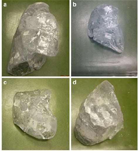 A All The Perfusion Defect Inserts For The Right Lung Attached Download Scientific Diagram