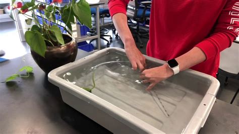 91 Measurement Of Transpiration Rates Using A Potometer Practical 7