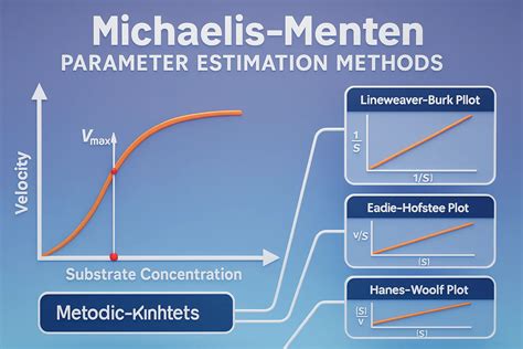 Michaelis Menten Parameter Estimation Methods Free Notes