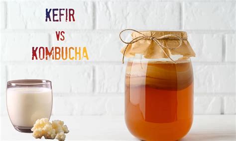 Kéfir Vs Kombucha Diferencias Y Cuál Es Mejor