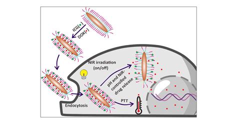 Copolymer Functionalized Cellulose Nanocrystals As A Ph And Nir Triggered Drug Carrier For