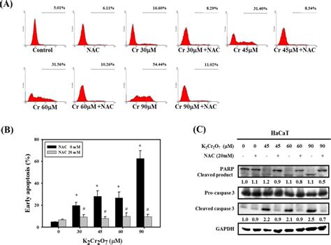A Flow Cytometry Analysis Indicating The Rate Of Apoptosis In Hacat