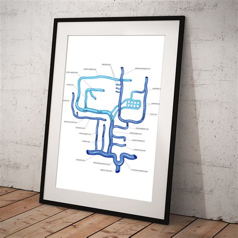 Venous System Of The Head And Neck Art Print By Science Photo Library Science Photo Gallery