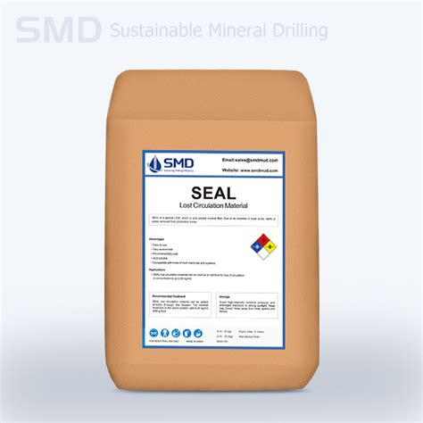 Lost Circulation Material Seal