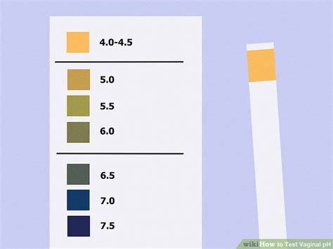 How To Test Vaginal PH Steps With Pictures WikiHow