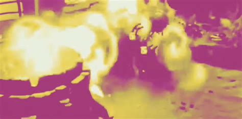 Describe This Image In 2 Words Bbq Tree Man By Lt Dark Ring R Pvzgardenwarfare