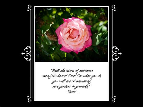 Thorn Of Existence Rumi Quote 11x14 Print 5x7 Greeting Card Digital Download Valentine