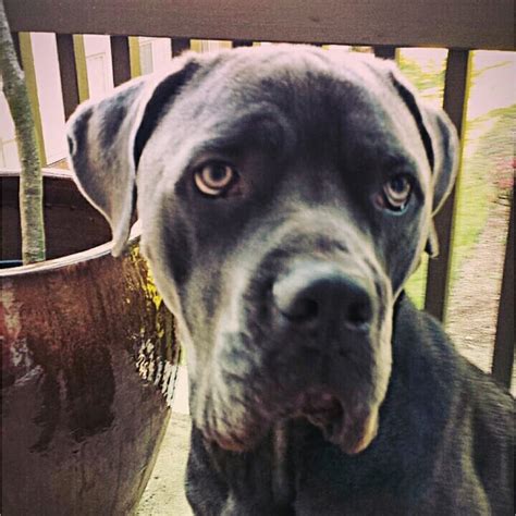 Jessica Mcclellan Youtube