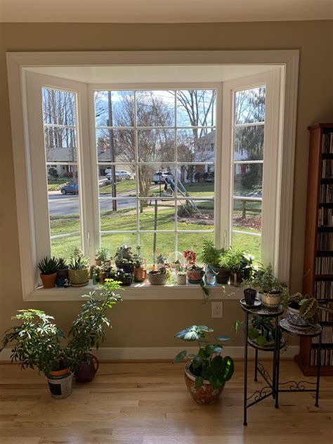 Window Seat With Plants At Adam Ross Blog