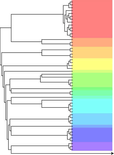 Chapter 5 Bird Evolution The Birds Of Green River College