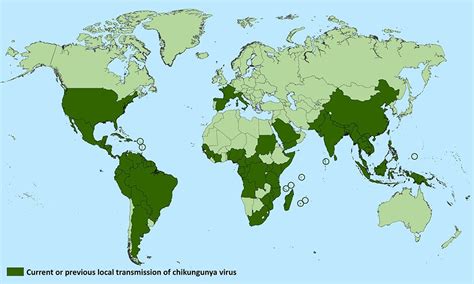 Important Call For Action Chikungunya Outbreak Cbhri