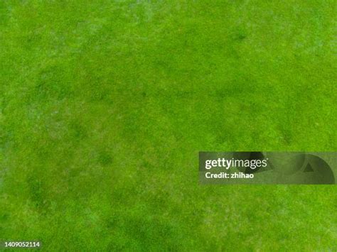 Empty Lot Grass Photos And Premium High Res Pictures Getty Images