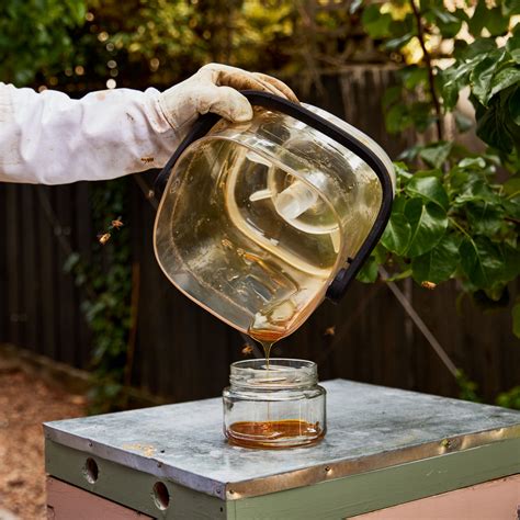 The Impact Of Weather And Climate On Bees And Honey Production