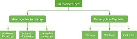 Metacognition In Medical Education Pdf Lecturio Medical