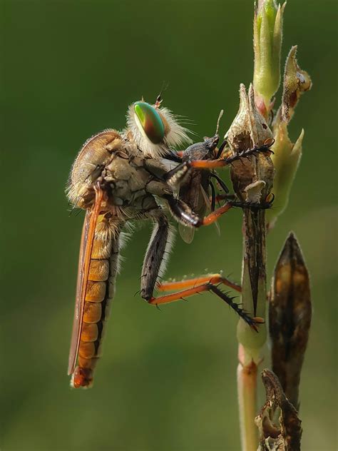 Legislative Branch Photos Download The Best Free Legislative Branch