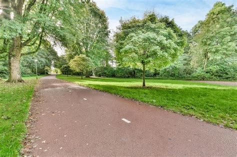 Premium Photo A Path Through A Park With Trees And Grass