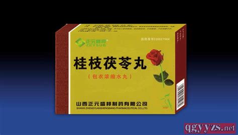 枝茯苓丸茯苓桂枝丸第14页大山谷图库