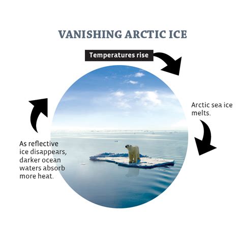 Climates Vicious Cycle Yes Magazine Solutions Journalism